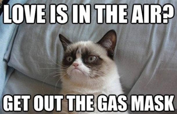 21 Best Grumpy Cat Memes And Funny Quotes About Love And Life Yourtango
